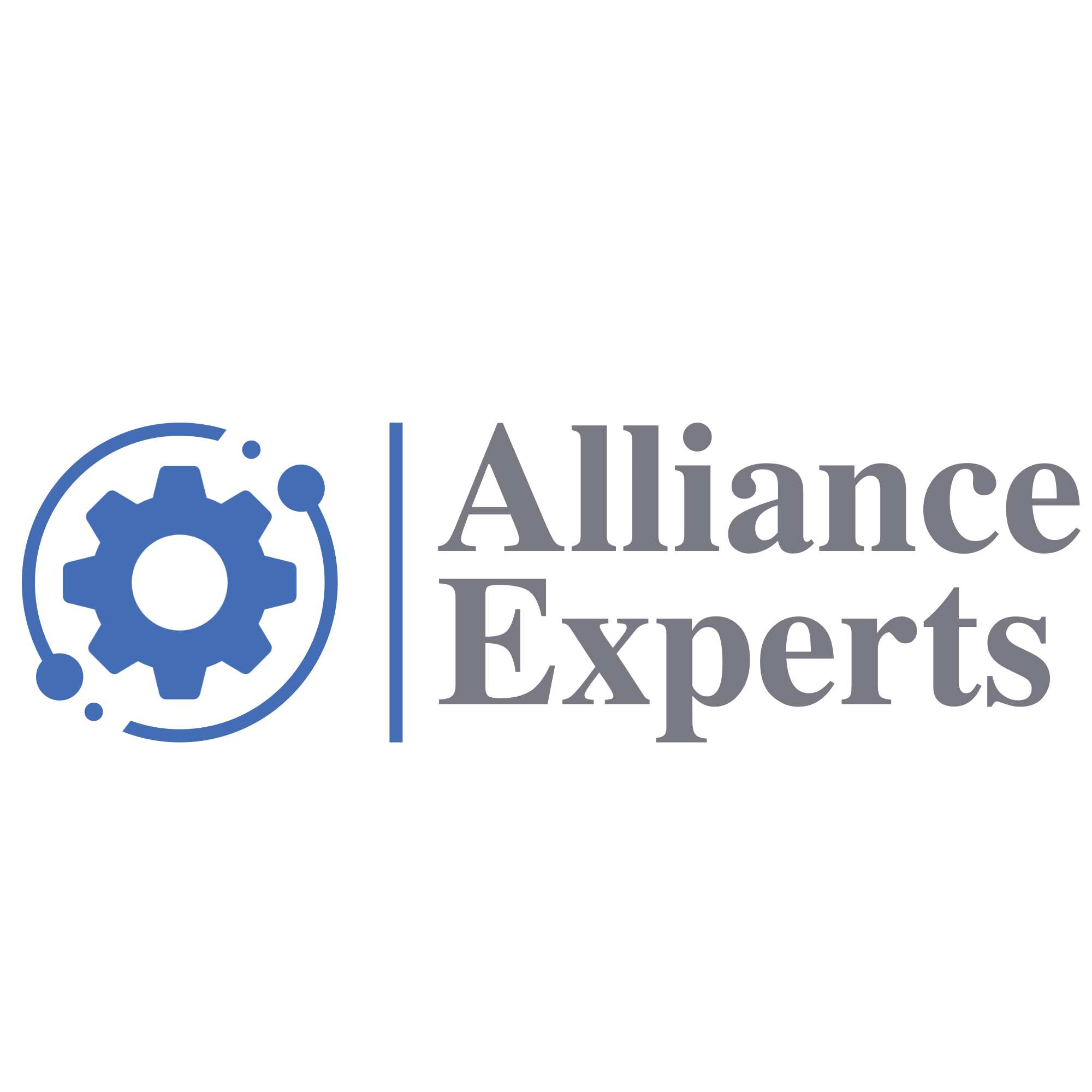 ALLIANCE EXPERTS